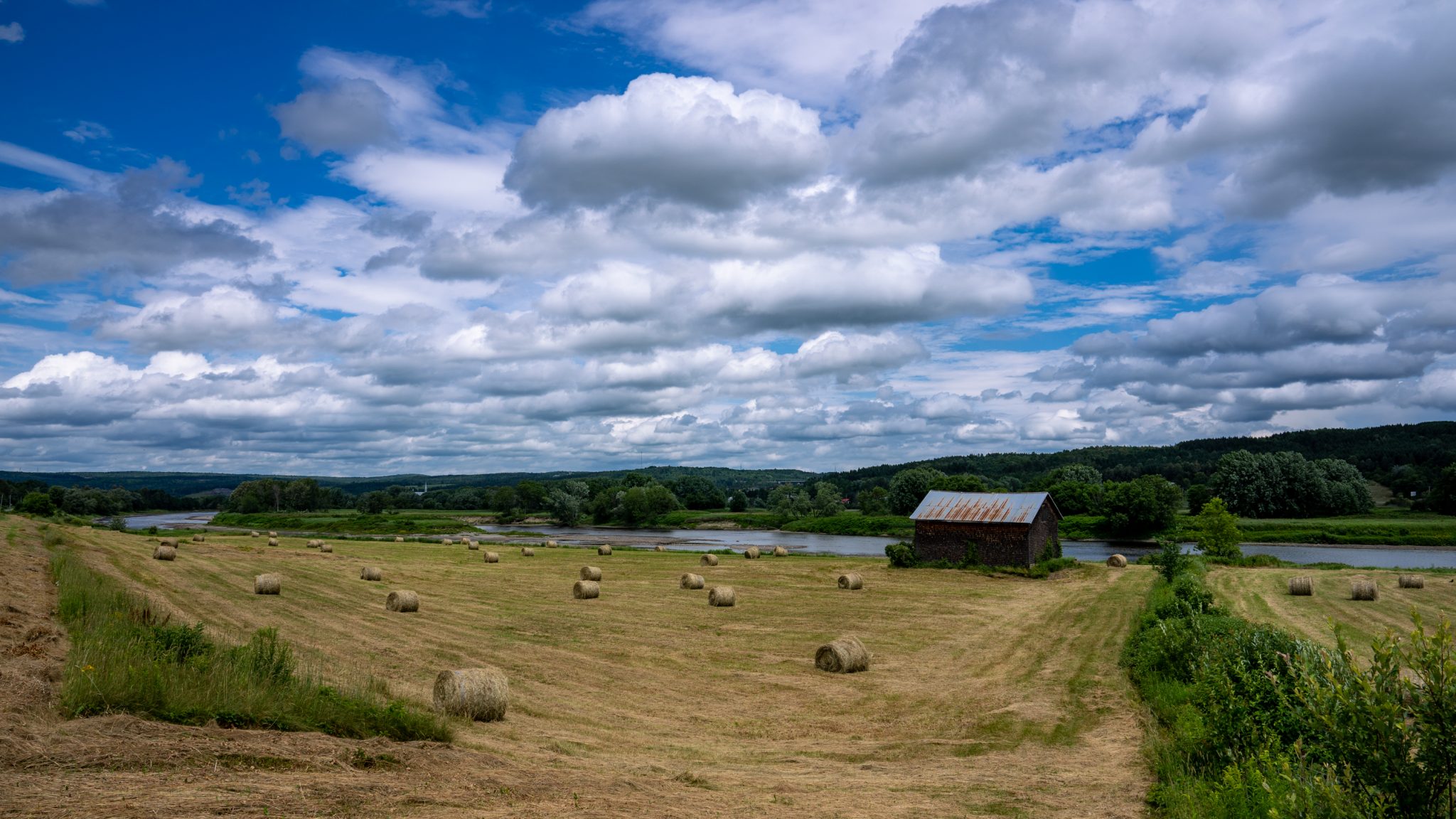 Le visionnaire du lait | Ferme Phylum | Chaudière-Appalaches | Terroir ...
