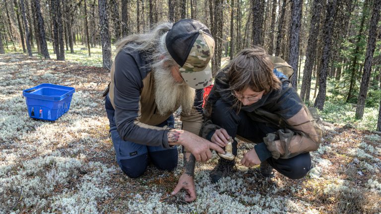 Itinéraire voyage sur la route Billy Diamond - Radisson - Chisasibi ...
