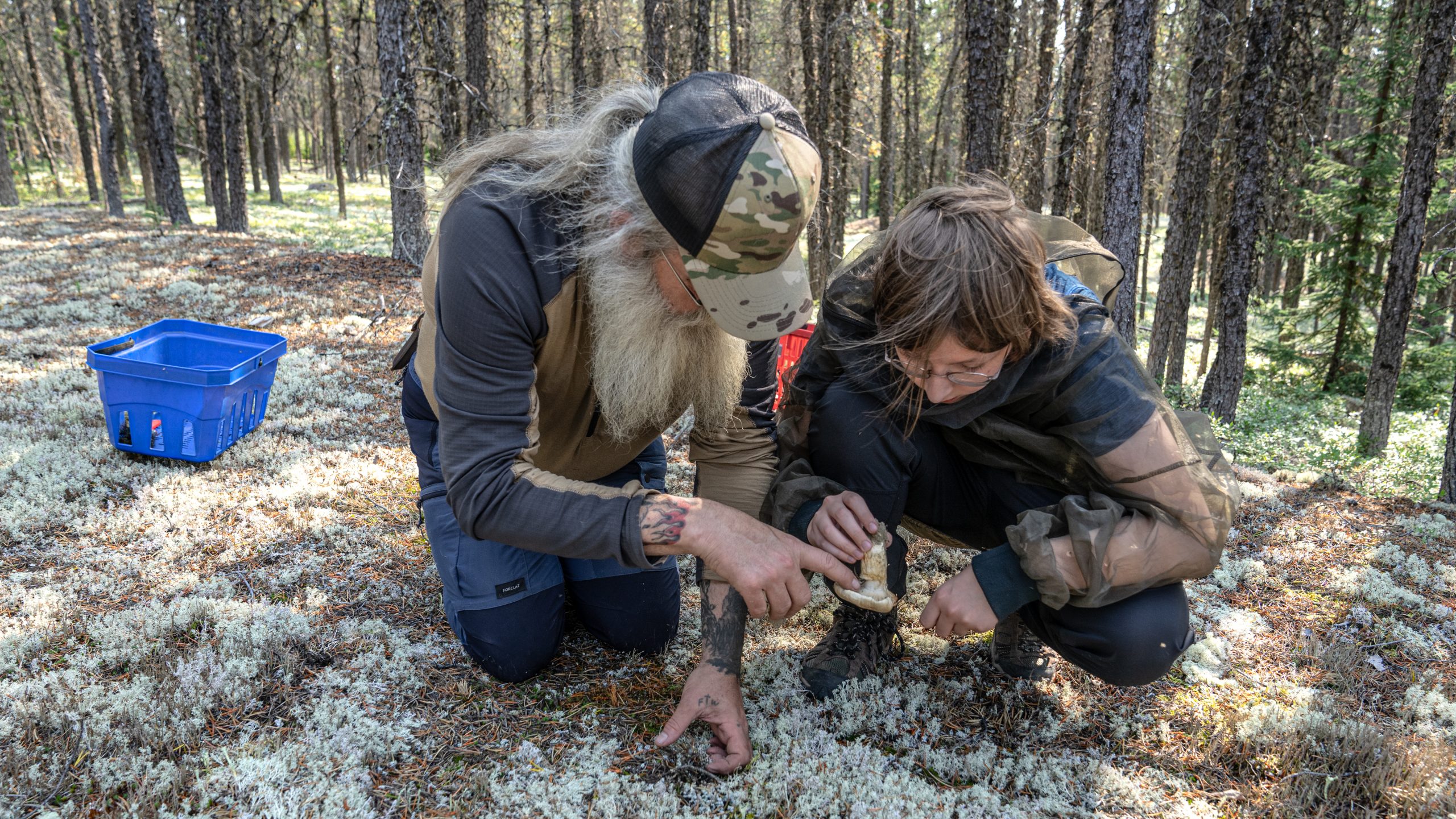 Itinéraire voyage sur la route Billy Diamond - Radisson - Chisasibi ...