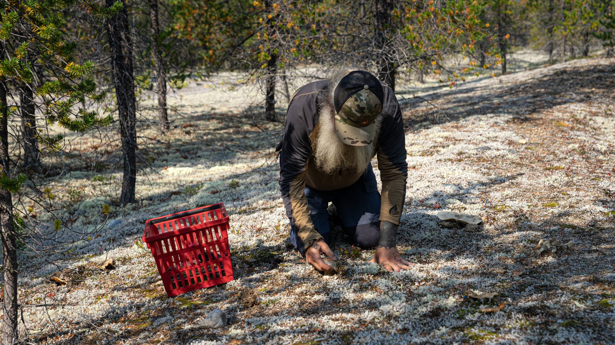 Itinéraire voyage sur la route Billy Diamond - Radisson - Chisasibi ...